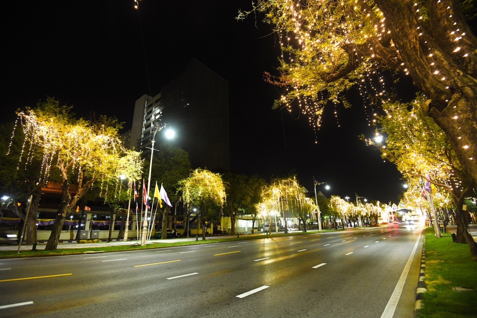 MEA เชิญชวนชมไฟประดับ ราชดำเนินทัศนา ประชาสุขใจ สว่างไสวด้วยไฟประดับเฉลิมพระเกียรติพระบาทสมเด็จ ...
